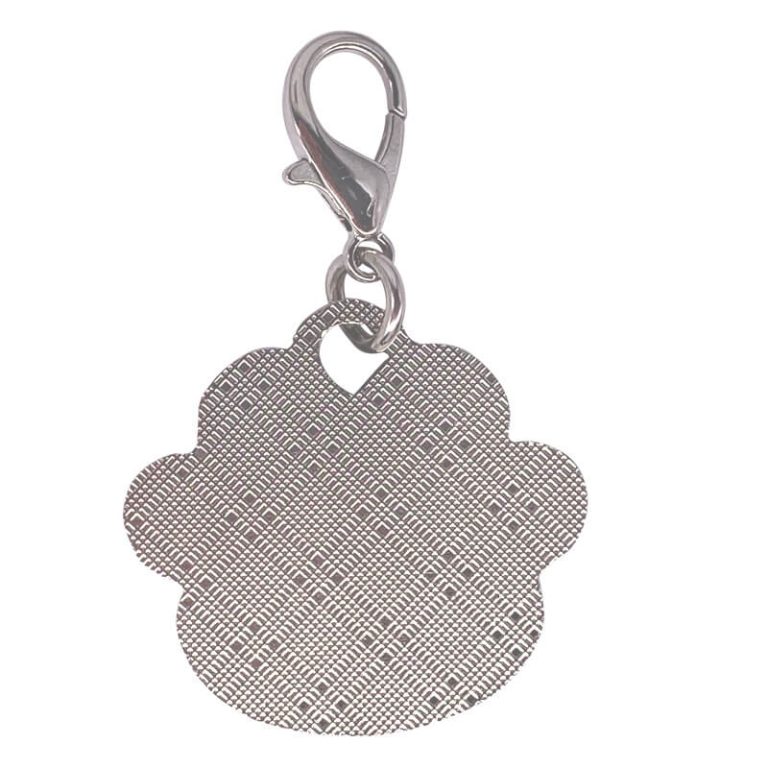 Metal Dog Tag Blue Paw Shape | Titan Jet Africa